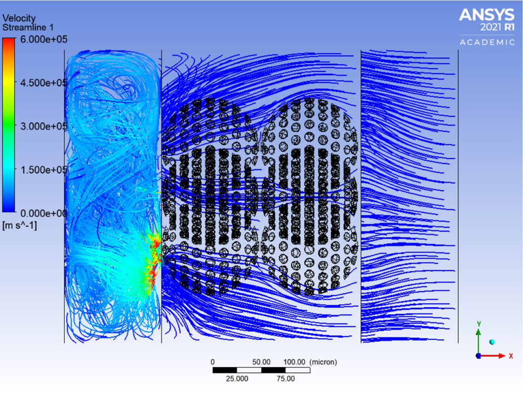 Biotransport – University of Rochester CFD