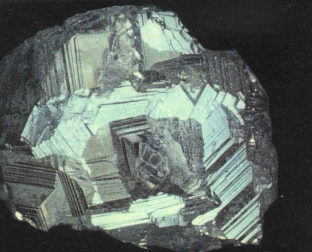 EES 119/219