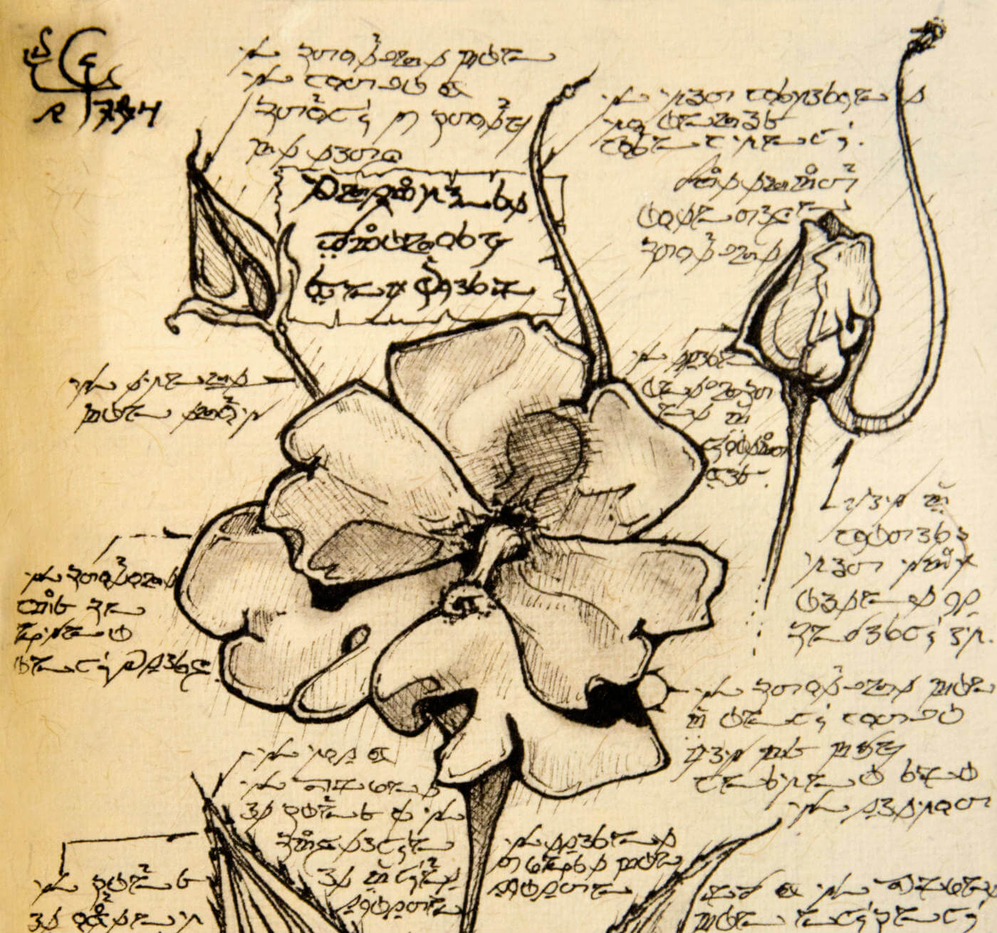 Magical Incantations: Conlang at University of Rochester